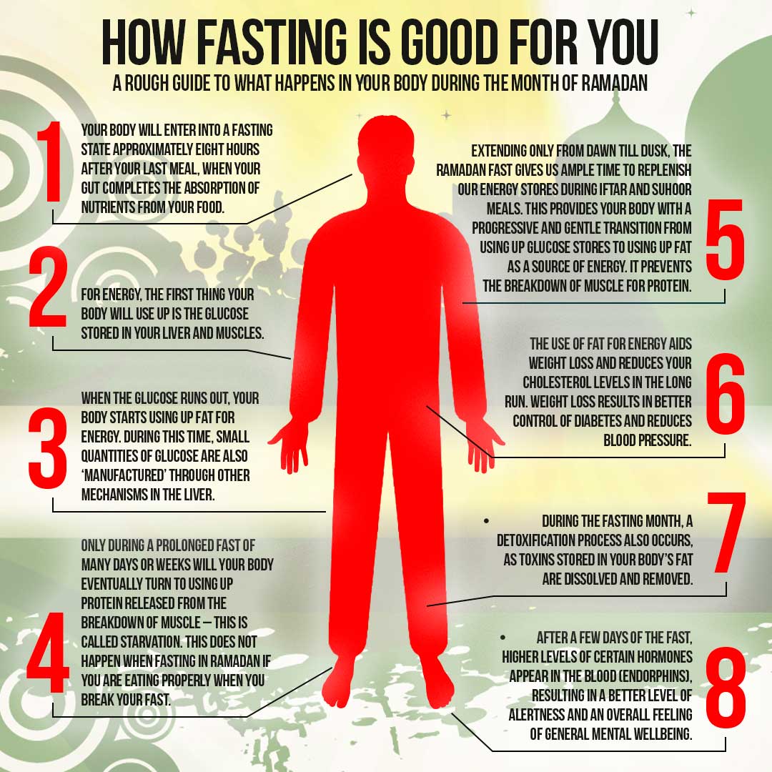 Health: Fasting vs. Feasting | 430 To Fit
